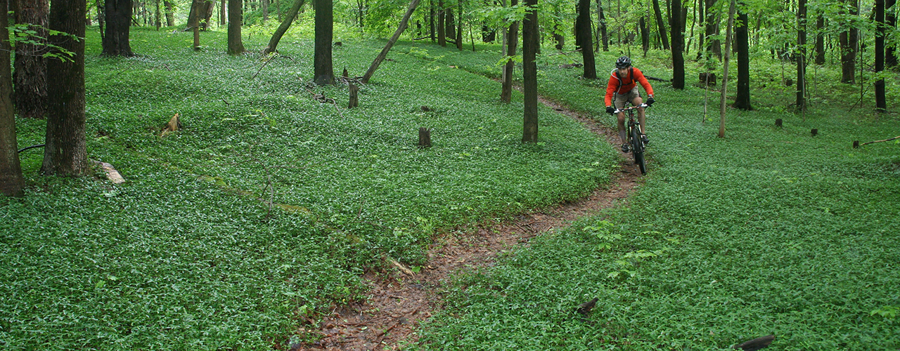 PE 1666: Bike Touring | Student & Campus Life | Cornell University